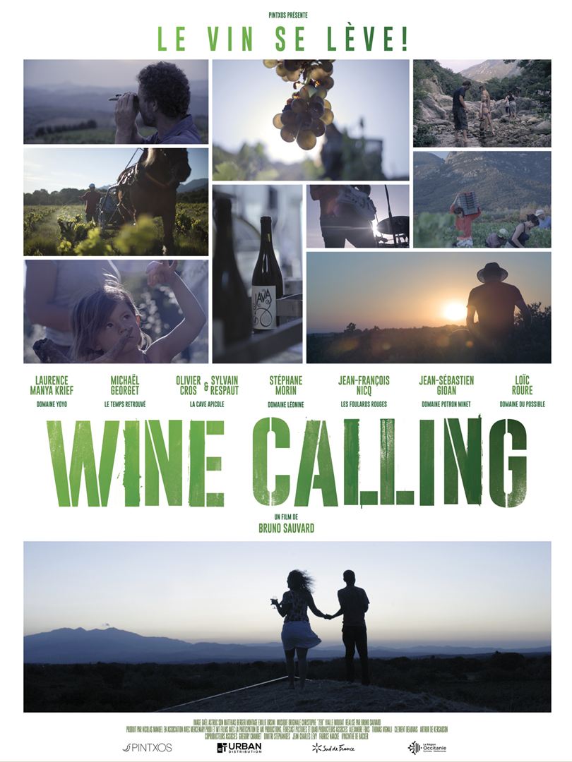 Wine Calling – Documentary Review – Everyday Wine